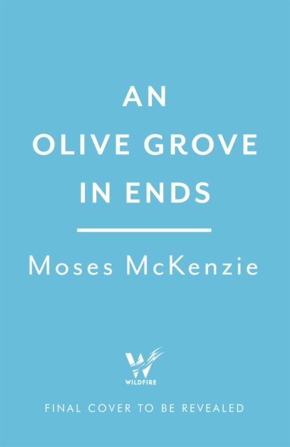 An Olive Grove in Ends: The dazzling debut novel about love, faith and ...