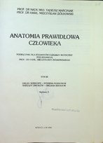Anatomia prawidłowa człowieka Tom III - Marciniak Tadeusz | Książka w Empik