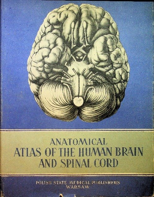 Anatomical Atlas of The Human Brain and Spinal Cord - Opracowanie ...