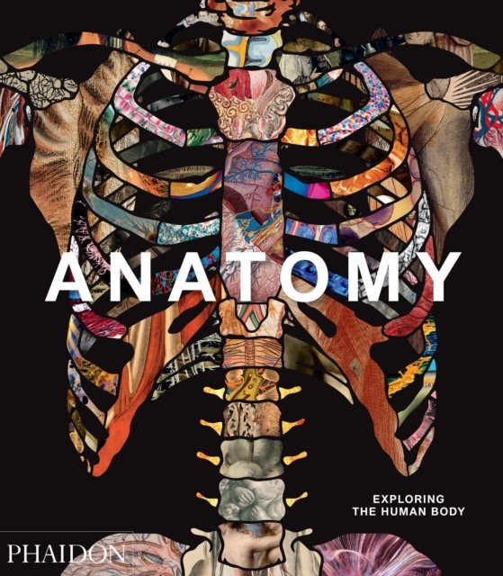 Anatomy. Exploring the Human Body - Opracowanie zbiorowe | Książka w Empik