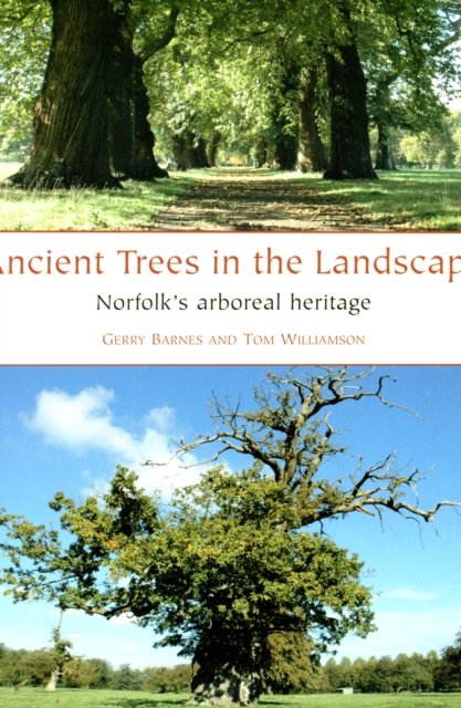 Ancient Trees in the Landscape: Norfolks arboreal heritage ...