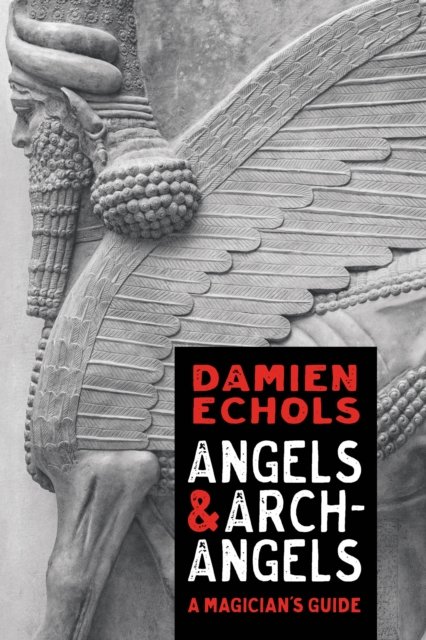 Angels and Archangels: A Magician's Guide - Echols Damien | Książka w Empik