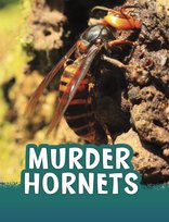 Animals, Murder Hornets - Jaclyn Jaycox | Książka w Empik