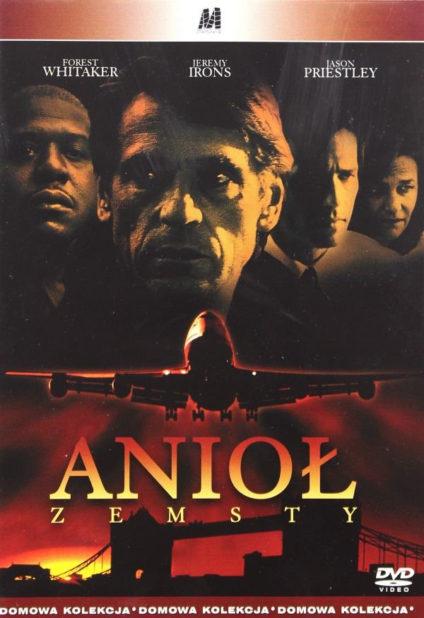 Anioł zemsty - Irvin John| Filmy Sklep EMPIK.COM