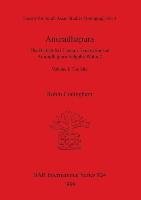 Anuradhapura - Coningham Robin | Książka w Empik