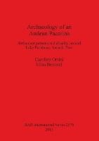Archaeology of an Andean Pacarina - Benozzi Elisa | Książka w Empik