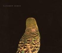Armchair Apocrypha - Bird Andrew | Muzyka Sklep EMPIK.COM