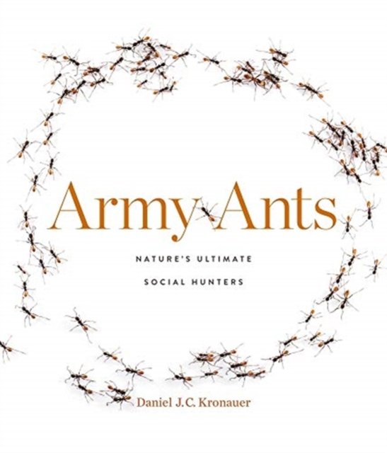 Army Ants: Natures Ultimate Social Hunters - Daniel J. C. Kronauer ...