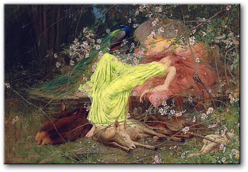 Arthur Wardle, baśń - PR05241 - PRINTORAMA | Sklep EMPIK.COM