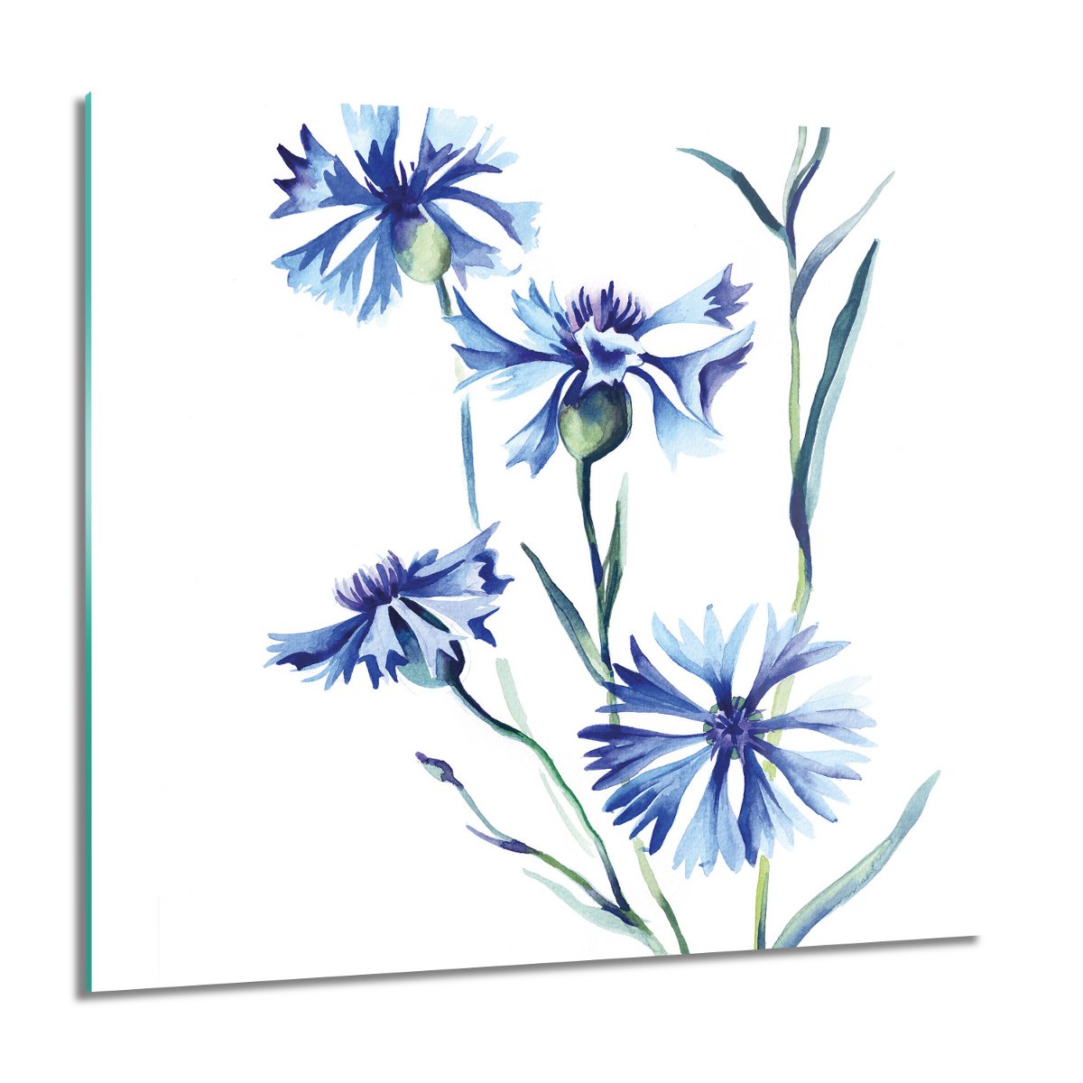 ArtprintCave, Chabry akwarela Foto szklane ścienne, 60x60 cm ...