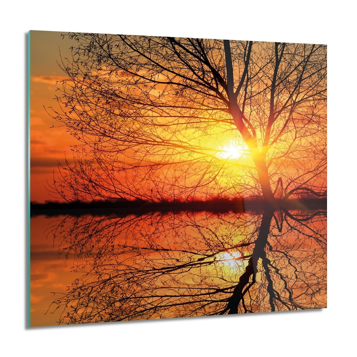 ArtprintCave, Drzewo woda słońce Obraz na szkle na ścianę, 60x60 cm ...