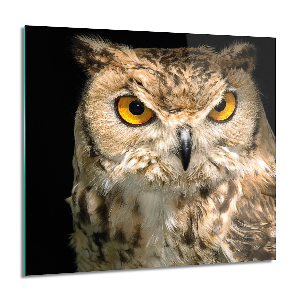 ArtprintCave, Obraz na szkle, Sowa oczy ptak, grafika, 60x60 cm ...