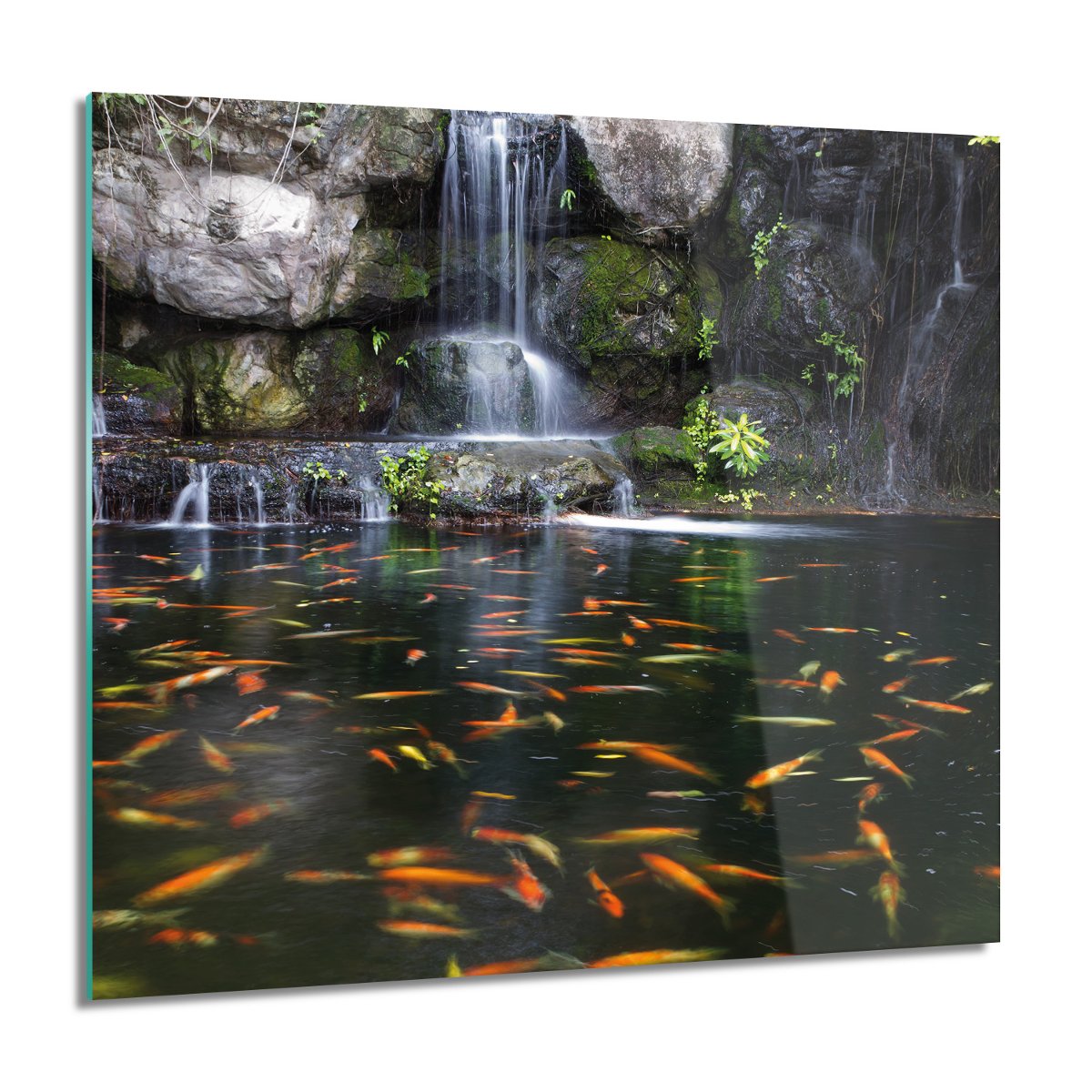 ArtprintCave, Obraz na szkle, Wodospad ryby drzewa, 60x60 cm ...