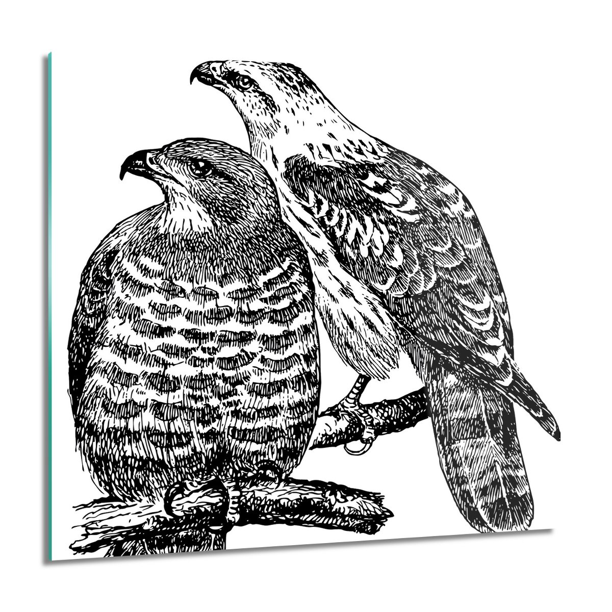 ArtprintCave, Orzeł ptak grafika do salonu obraz szklany, 60x60 cm ...