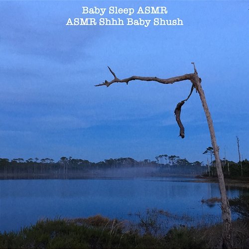 Asmr Shhh Baby Shush - Baby Sleep ASMR | Muzyka, mp3 Sklep EMPIK.COM