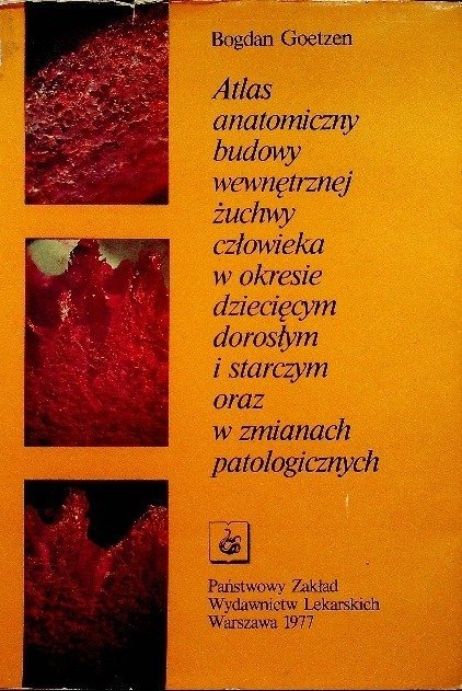 Atlas anatomiczny budowy wewnętrznej żuchwy człowieka w okresie ...