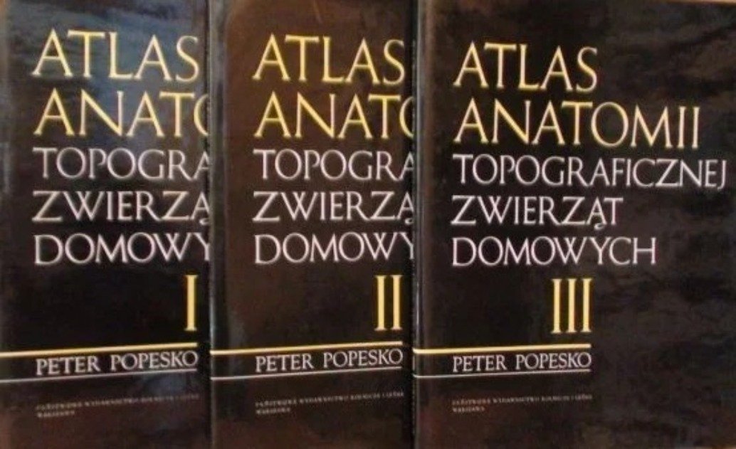 Atlas Anatomii Topograficznej Zwierząt Domowych Tom 1 do 3 - Popesko ...