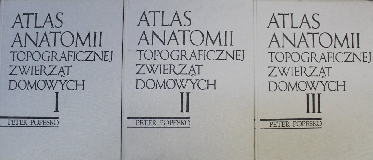 Atlas Anatomii Topograficznej Zwierząt Domowych Tom 1 do 3 - Popesko ...
