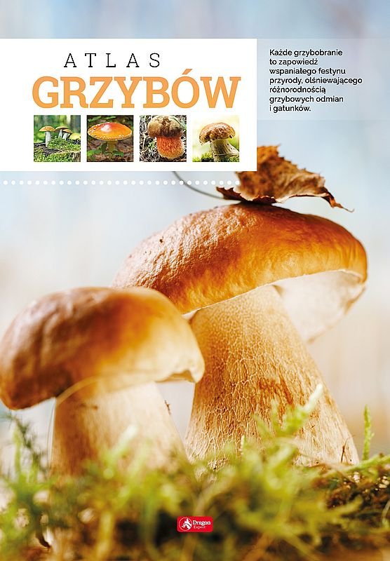 Atlas grzybów - Kamiński Wiesław | Książka w Empik