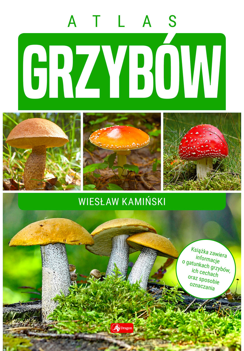 Atlas grzybów - Kamiński Wiesław | Książka w Empik