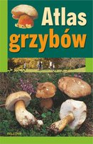 Atlas grzybów - Opracowanie zbiorowe | Książka w Empik