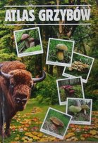 Atlas grzybów - W opisie | Książka w Empik