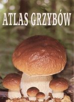 Atlas grzybów - Opracowanie zbiorowe | Książka w Empik