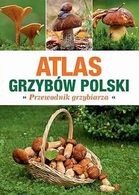 Atlas grzybów Polski. Przewodnik grzybiarza - Snowarski Marek | Książka ...