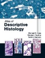 Atlas of Descriptive Histology - Ross Michael H. | Książka w Empik