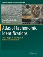 Atlas of Taphonomic Identifications - Andrews Peter | Książka w Empik