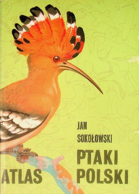 Atlas Ptaki Polski - Sokołowski Jan | Książka w Empik