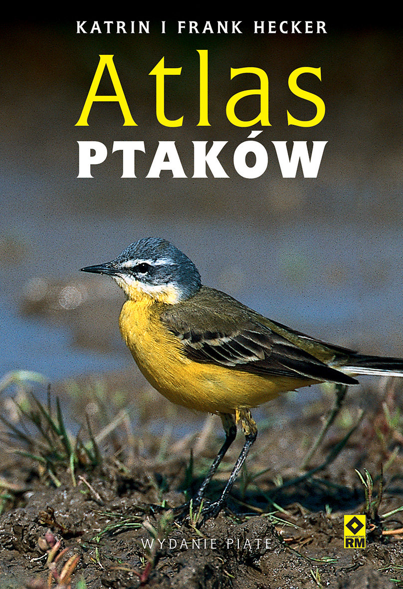 Atlas ptaków - Hecker Katrin | Książka w Empik