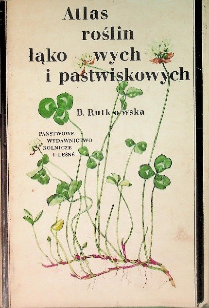 Atlas roślin łąkowych i pastwiskowych - Rutkowska Barbara | Książka w Empik