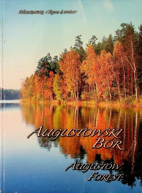 Augustowski Bór. Augustów Forest - Łapiński Włodzimierz | Książka w Empik
