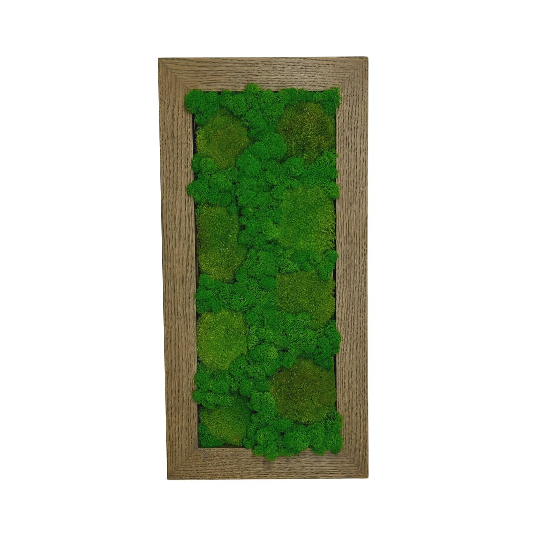 AVLES Obraz z mchu – Harmonia natury 60x30 cm (Lakier Ciemny Abruzzen ...