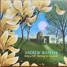 Balgay Hill: Morning In Magnolia, płyta winylowa - Wasylyk Andrew ...
