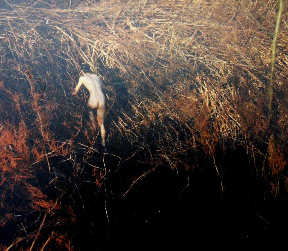 Bareness - Pospieszalski Marek | Muzyka Sklep EMPIK.COM