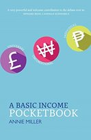 Basic Income Pocketbook - Miller Annie | Książka w Empik