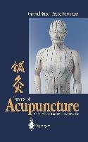 Basics of Acupuncture - Stux Gabriel | Książka w Empik