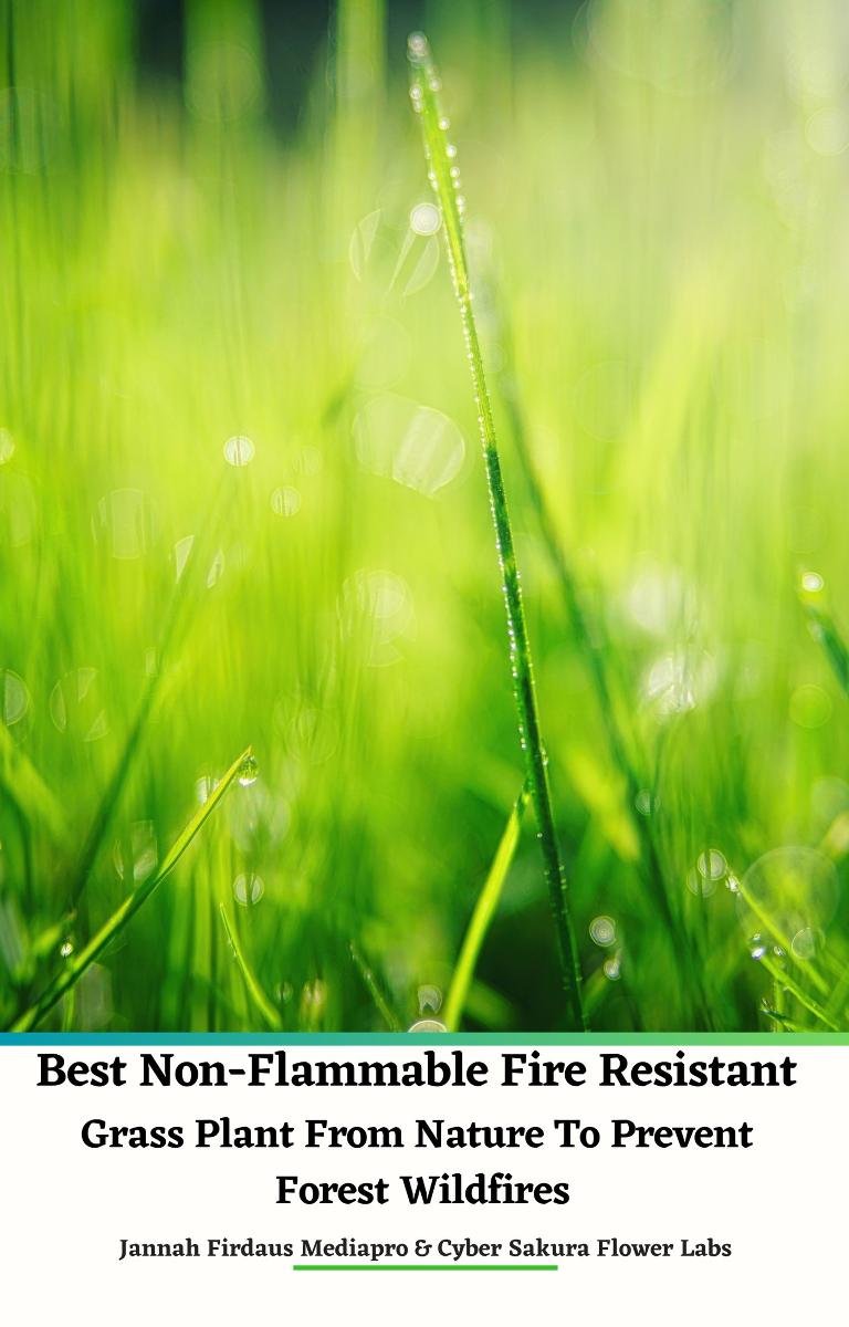 Best Non-Flammable Fire Resistant Grass Plant From Nature to Prevent ...