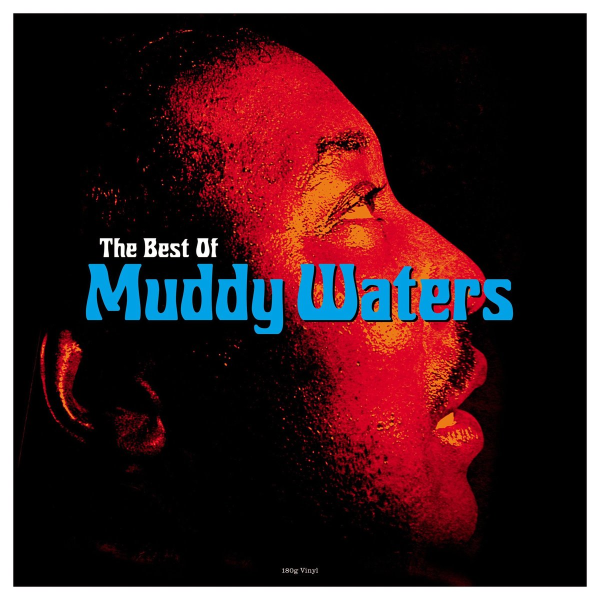 Best of Muddy Waters, płyta winylowa - Muddy Waters | Muzyka Sklep EMPIK.COM