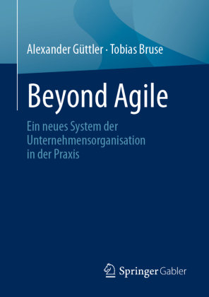Beyond Agile - Springer, Berlin | Książka w Empik