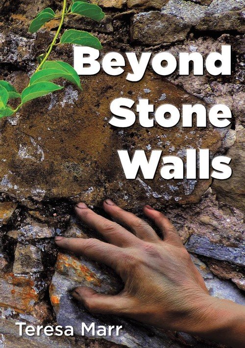 Beyond Stone Walls - Teresa Marr | Książka w Empik