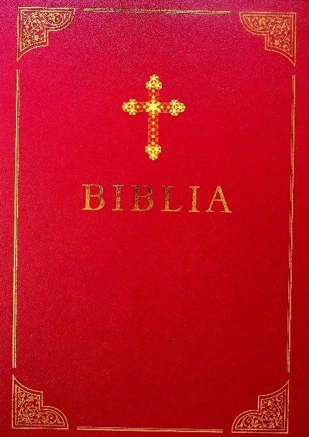 Biblia Kronika rodziny - Walkenbach John | Książka w Empik