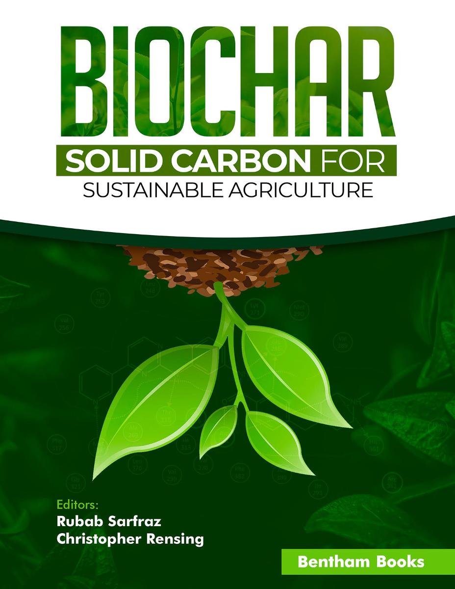 Biochar. Solid Carbon for Sustainable Agriculture - ebook epub ...