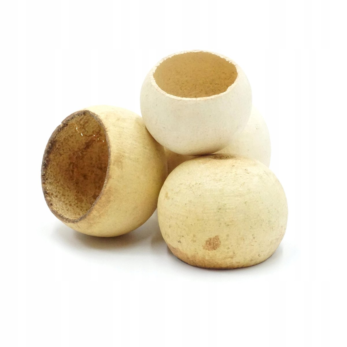 BioDesert Nut suszona Makówka Kryjówka Susz 5-8cm - Bioterr | Sklep ...