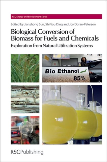 Biological Conversion of Biomass for Fuels and Chemicals: Explorations ...