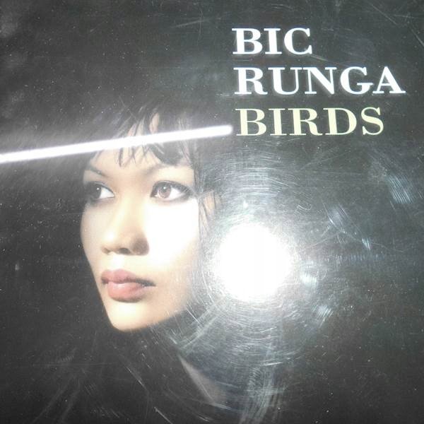 Birds - Bic Runga | Muzyka Sklep EMPIK.COM