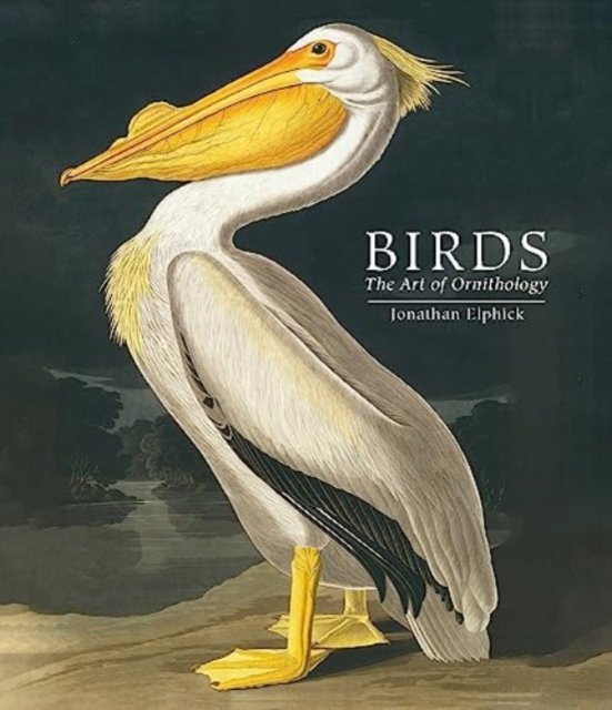 Birds: The Art of Ornithology (Pocket edition) - Elphick Jonathan ...