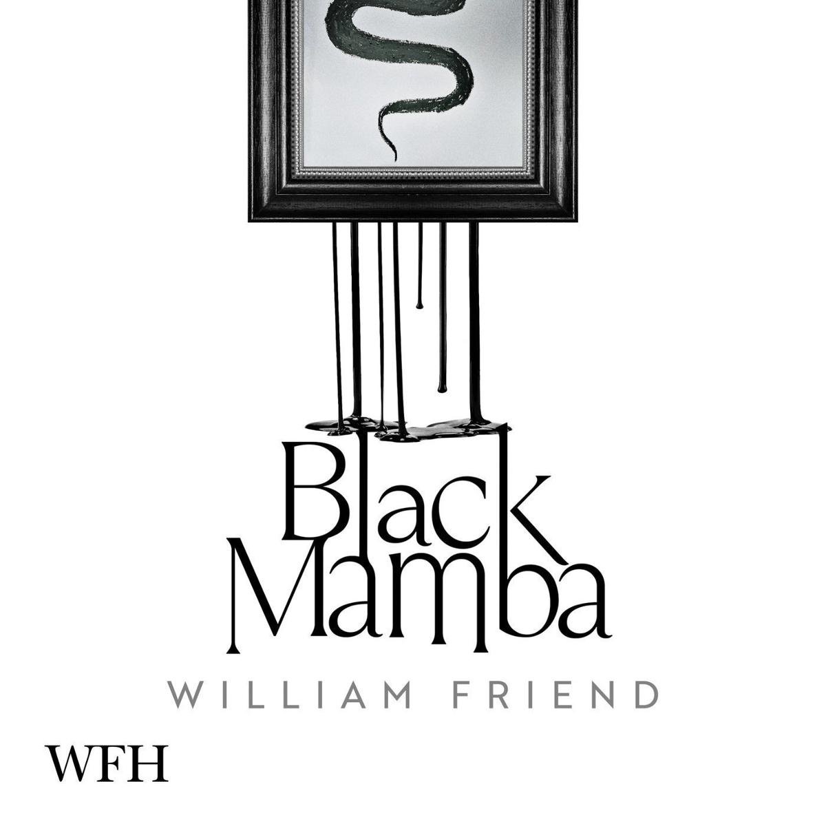 Black Mamba - audiobook - William Friend | Audiobook Sklep EMPIK.COM